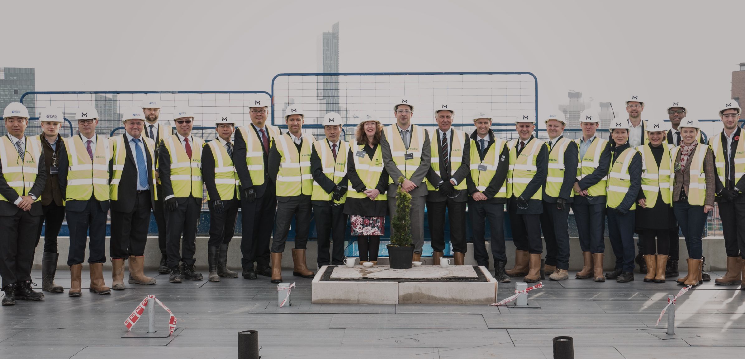 Career – Why BCEGI – BCEGI