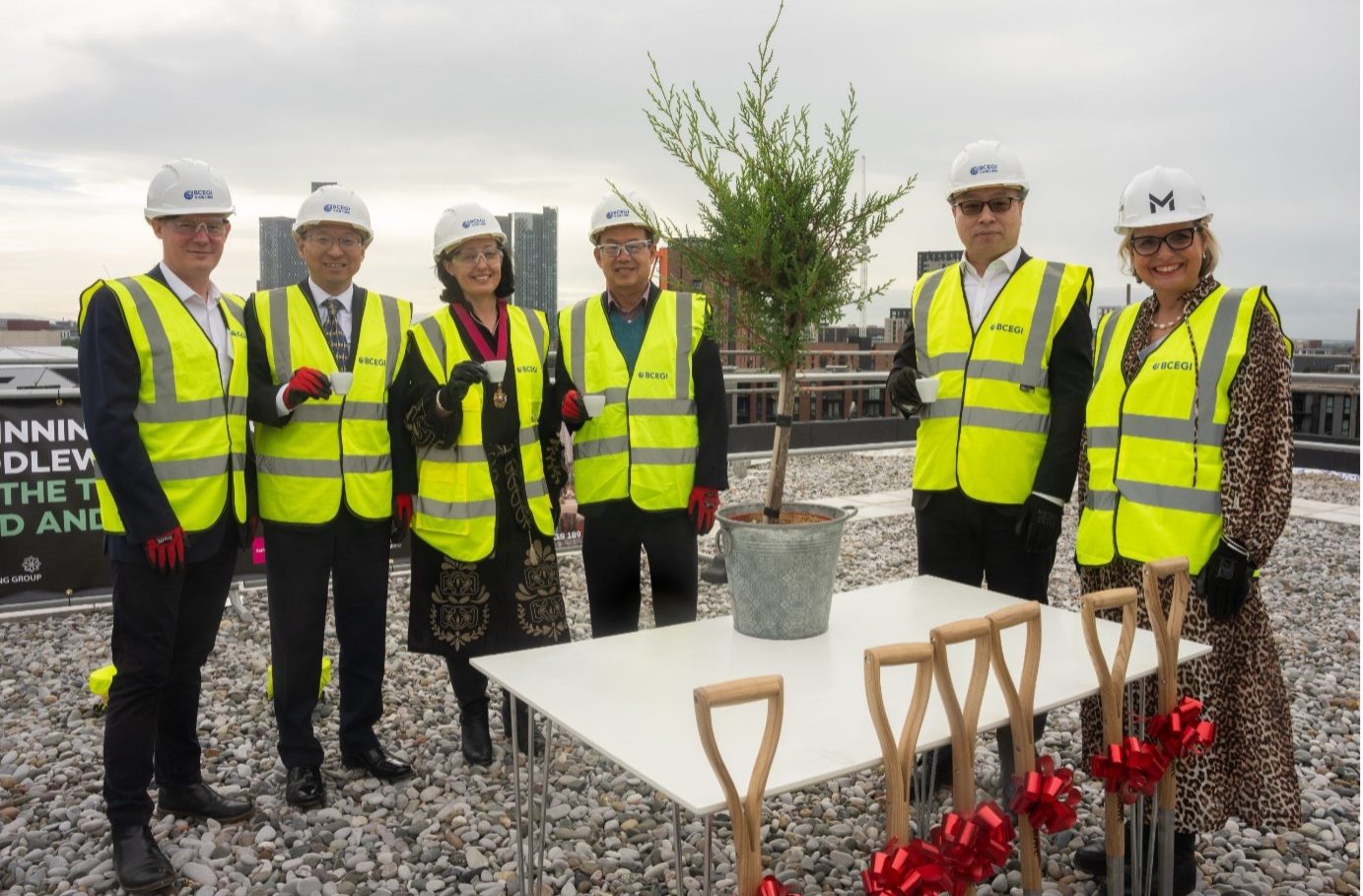 BCEGI – Your Ideal Partner